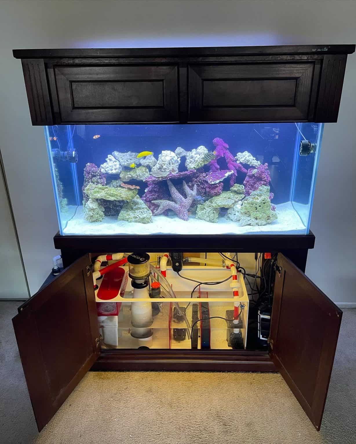 Beginner Reef Starter Kits for Nassau & Suffolk Newbies